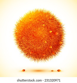86,399 Fluffy ball Images, Stock Photos & Vectors | Shutterstock