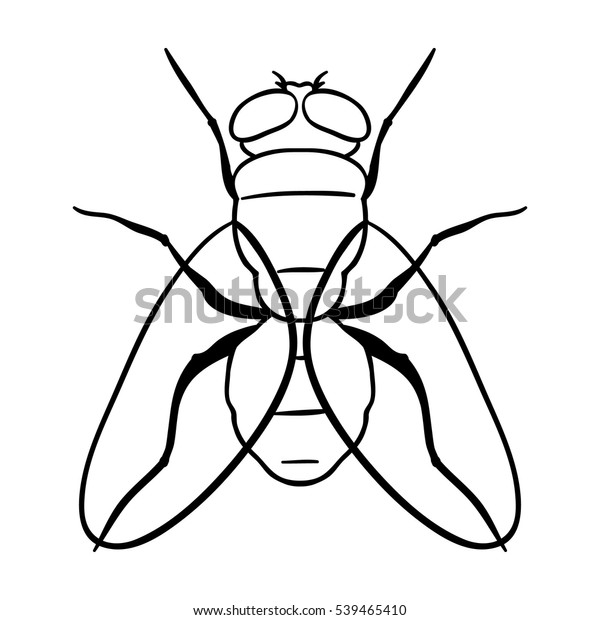 Fly Icon Outline Style Isolated On Stock Vector (Royalty Free) 539465410