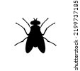 243,241 House Fly Royalty-Free Images, Stock Photos & Pictures ...