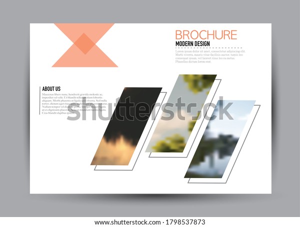 Flyer Template Brochure Design Horizontal A4 Stock Vector (Royalty Free ...
