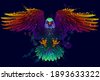 Falcon Photos, Images & Pictures | Shutterstock