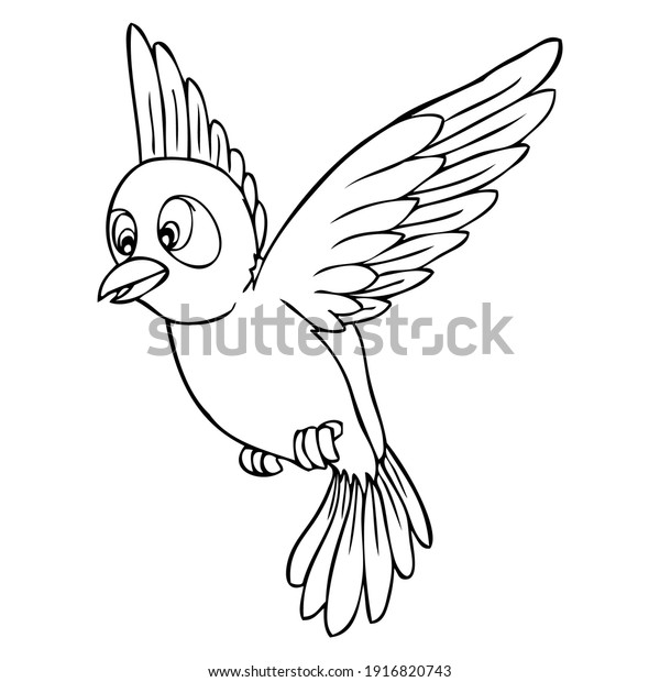 Flying Bird Line Vector Illustration Isolated Stock Vector (Royalty ...