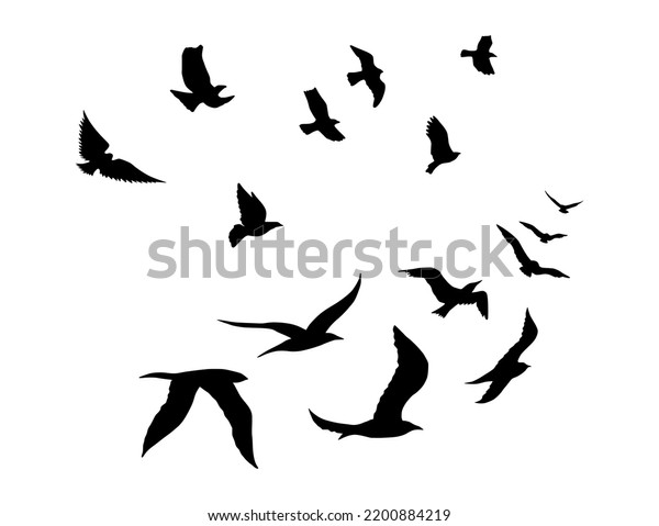 Flying Birds Vector Art Silhouettes Stock Vector (Royalty Free ...