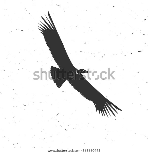 Flying condor Silhouette auf weißem Hintergrund. Vektorgrafik. Konzept ...