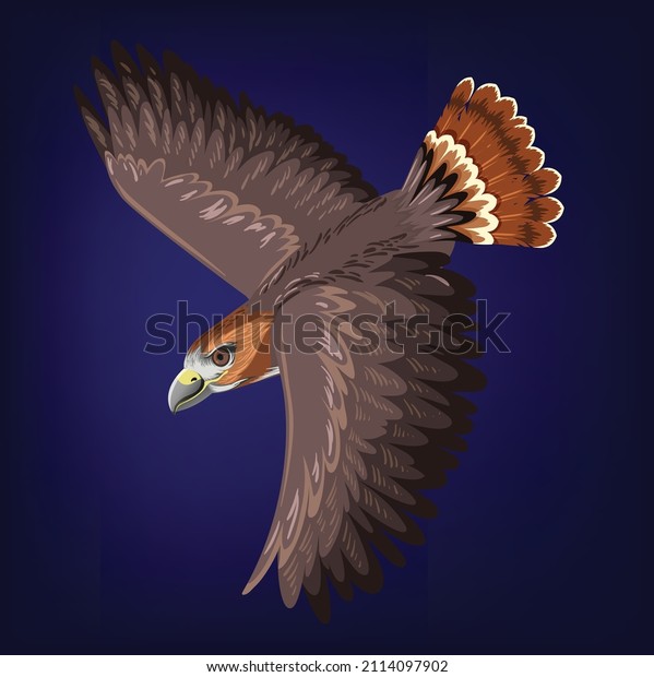 Flying Eagle Cartoon Vector Illustrator: เวกเตอร์สต็อก (ปลอดค่า ...