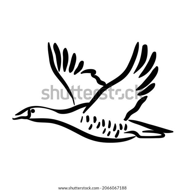 Flying Goose Illustration Vector Isolated Stock Vector (Royalty Free ...