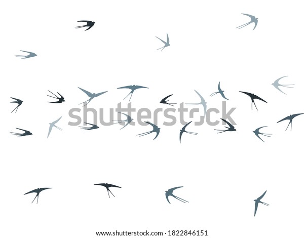 Flying Martlet Birds Silhouettes Vector Illustration Stock Vector ...
