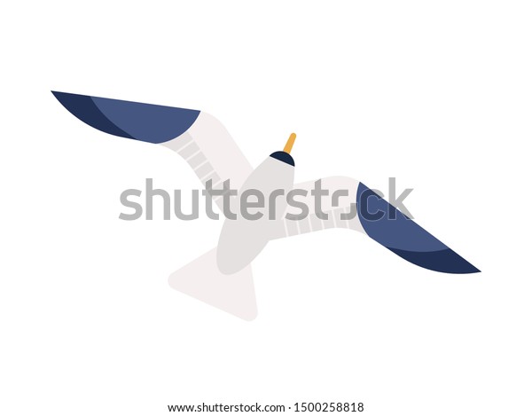 Flying Seagull Flat Vector Illustration Gliding Stock Vector (Royalty ...