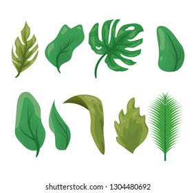 Leaf Plural Leaves Principal Lateral Appendage 库存矢量图（免版税）2067352109 ...