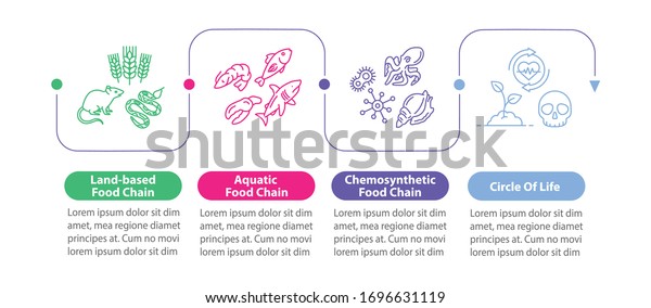 Food Chain Vector Infographic Template Biological Stock Vector (Royalty ...