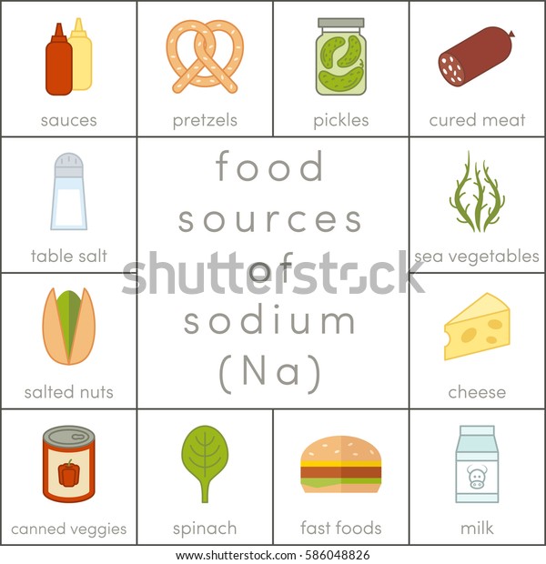 Food Sources Sodium Vector Flat Food Stock Vector (Royalty Free) 586048826