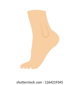Foot Flat Icon Stock Vector (Royalty Free) 1264219345 | Shutterstock