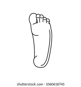 Foot Icon Outline Foot Vector Icon Stock Vector (Royalty Free ...