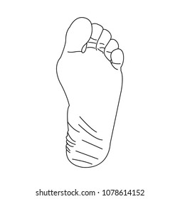 Foot Line Art Stock Vector (Royalty Free) 1078614152 | Shutterstock
