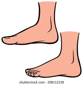 Barefoot Illustration Two Human Feet Isolated Stock Vector (Royalty ...