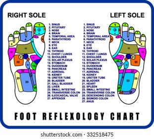 "Foot reflexology chart" - 149 Ảnh, vector và hình chụp có sẵn ...