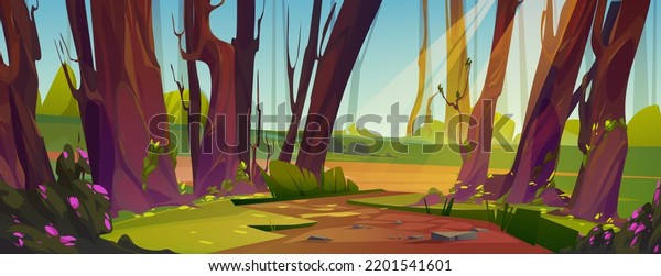 Footpath Sunlit Forest Cartoon Illustration Beautiful Stock Vector ...