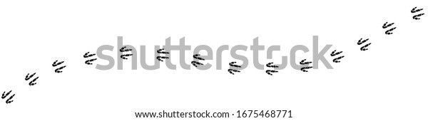 267 Kangaroo Footprint Bilder, Stockfotos und Vektorgrafiken | Shutterstock