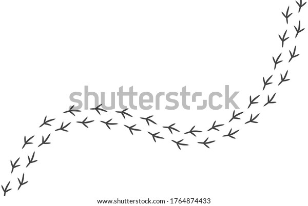 Footprints Birds Vector Paw Prints Pigeon Stock Vector (Royalty Free ...