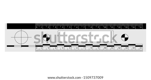 Forensic Ruler Measuring Crime Scene Evidence Stock Vector (Royalty ...