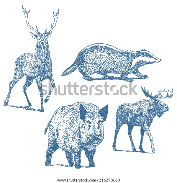 Forest Animals Drawings Set Isolated On Stock Vector (Royalty Free ...
