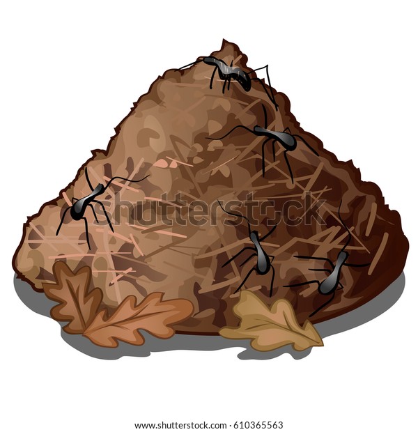 Forest anthill of black ants isolated on white background. Vector ...