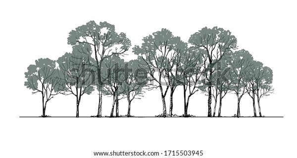 Forest Background Sketch Ing Vector Tree 库存矢量图（免版税）1715503945 ...