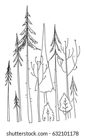 Forest Doodle Stock Vector (Royalty Free) 632101178 | Shutterstock