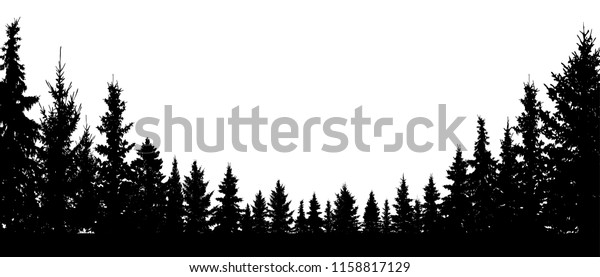 Forest Evergreen Coniferous Trees Silhouette Vector Stock Vector ...