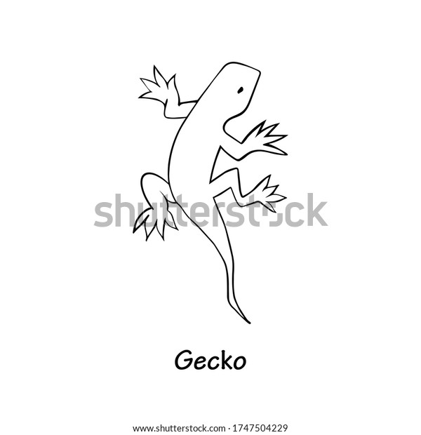 Stock vektor „Forest Gecko Outline Vector Silhouette Isolated“ (bez ...