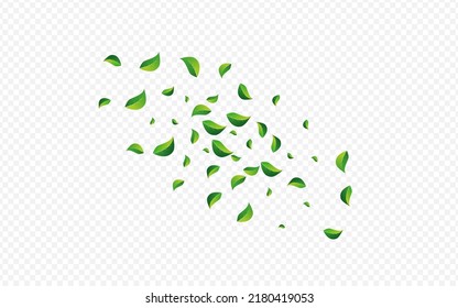 14,501 Flying leaves icon Images, Stock Photos & Vectors | Shutterstock