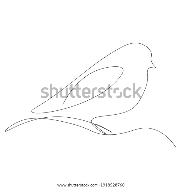 Forest Landscape Bird Drawing Vector Illustration Stock Vector (Royalty ...