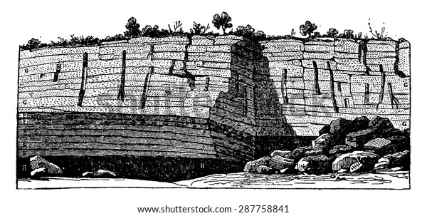Fossil Trees Found Standing Coal Mines Stock Vector (Royalty Free ...