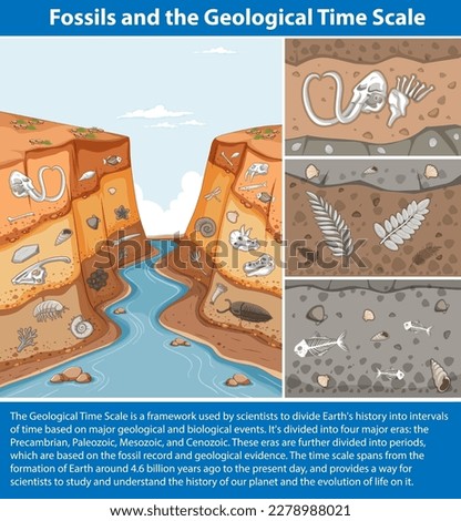 Fossils Clipart | Free download on ClipArtMag