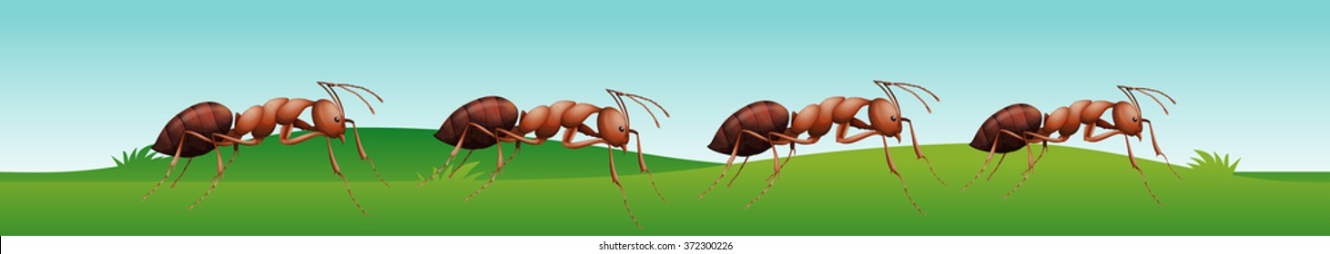 Four Ants Walking On Grass Illustration Stock Vector (Royalty Free ...