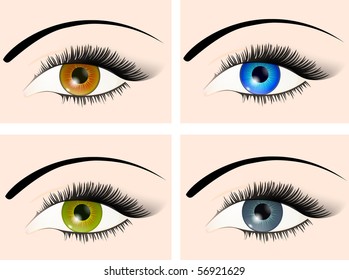 Four Different Colour Eyes Brown Blue Stock Vector (Royalty Free ...