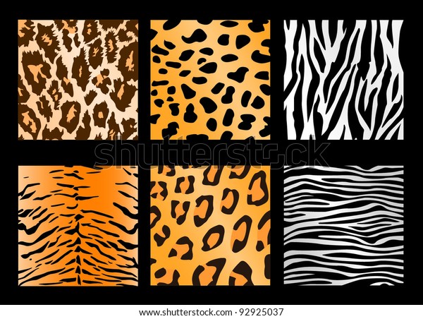 Four Kinds Skin Animals Stock Vector (Royalty Free) 92925037