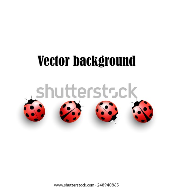 Four Lady Bugs Isolated On White 库存矢量图（免版税）248940865 | Shutterstock