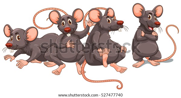 「Four Rats Gray Fur Illustration」のベクター画像素材（ロイヤリティフリー） 527477740
