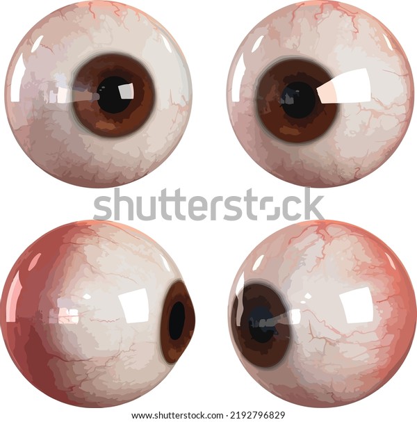 32,577 imágenes de Female eyeball - Imágenes, fotos y vectores de stock ...