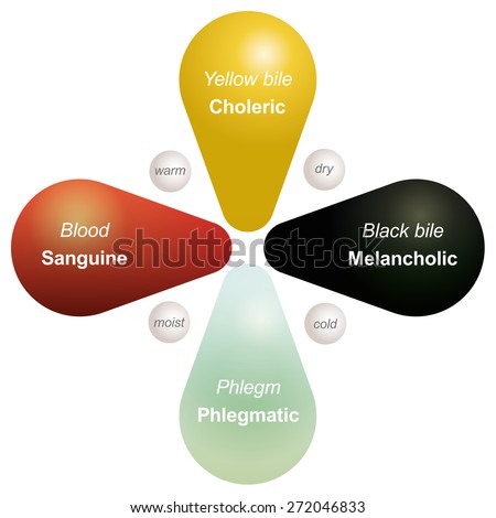 Four Temperaments Sanguine Choleric Melancholic Phlegmatic Stockvektor ...