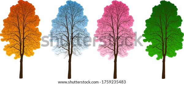 Four Trees Four Seasons Trees Different Stock Vector (Royalty Free ...