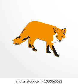 Fox Color Vector Illustration On Light Stock Vector (Royalty Free ...