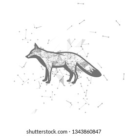 Fox Polygonal Wireframe Fox Silhouette Low Stock Vector (Royalty Free ...