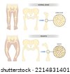 2+ Thousand Rickets Royalty-Free Images, Stock Photos & Pictures ...