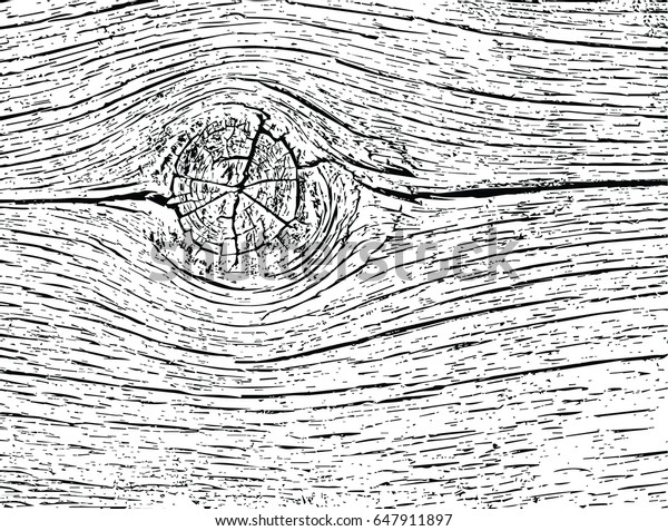 Fragment Old Tree Knot Stock Vector (Royalty Free) 647911897 | Shutterstock