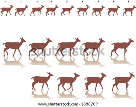 Frame By Frame Walking Deer Stock Vector (Royalty Free) 1888209 ...