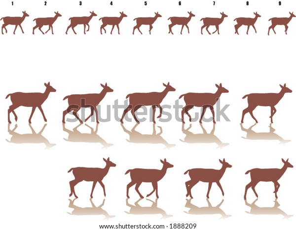 Frame By Frame Walking Deer Stock Vector (Royalty Free) 1888209