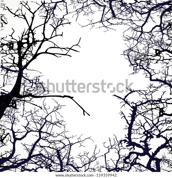 Frame Silhouettes Bare Branches Trees Stock Vector (Royalty Free ...