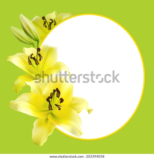 Frame Yellow Lilies Stock Vector (Royalty Free) 203394058